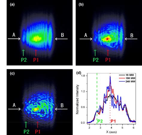 Spatial Intensity Distributions Of The Femtosecond Laser Pulses With