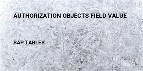 Authorization Objects Field Value Table In SAP