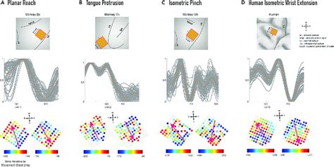 propagating patterns are prevalent across a variety of motor tasks in