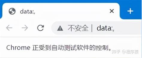 Python环境安装selenium 知乎