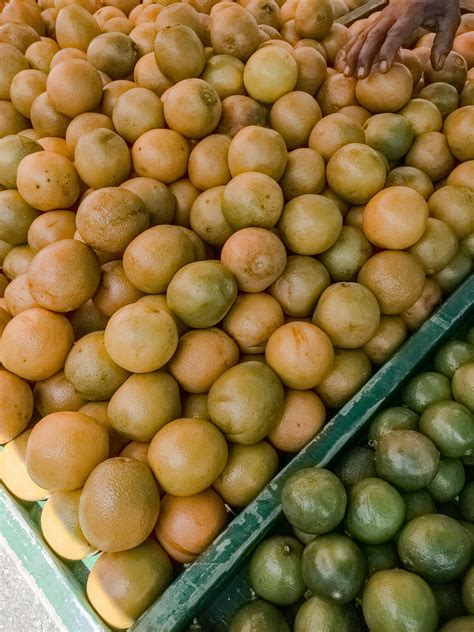 감귤 시장 감귤류 감귤류 선택 건강식품 건강한 생활 건강한 식생활 과일 과일 선택 과일 종류 과즙이 많은 노점