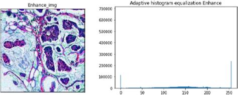 Image Histogram Display With Improved Image Contrast Download