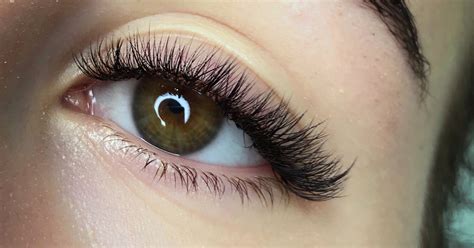 A Brief Of C Curl D Curl For Beginner