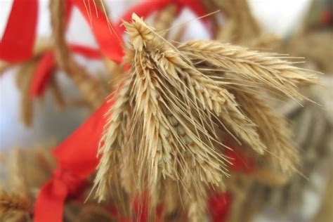 Дідух символ Різдва Як зберегти і продовжити традицію Вінниця Офіційний туристичний сайт