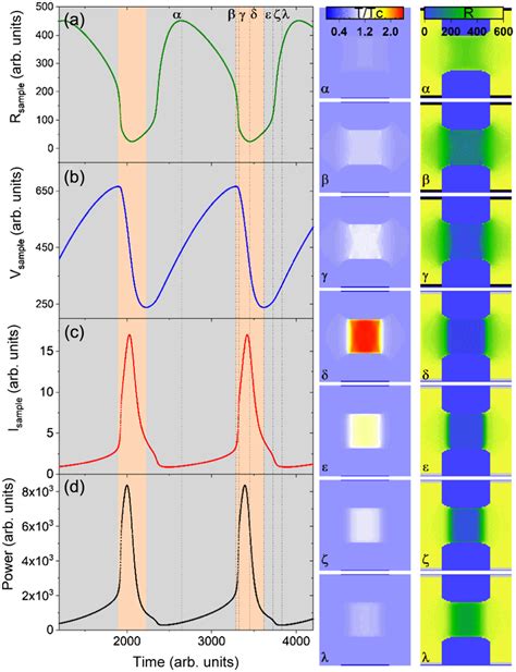 Simulation Of The Filament Formation And Dissolution During The Download Scientific Diagram
