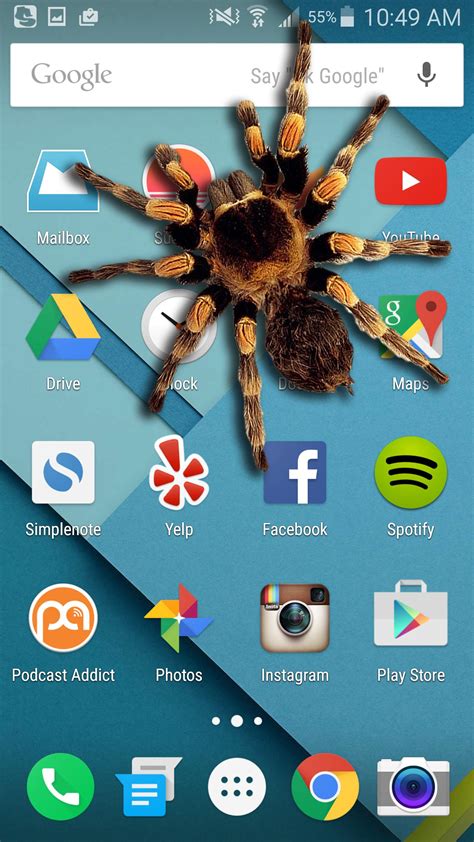 Spider On Screen Apk For Android Download