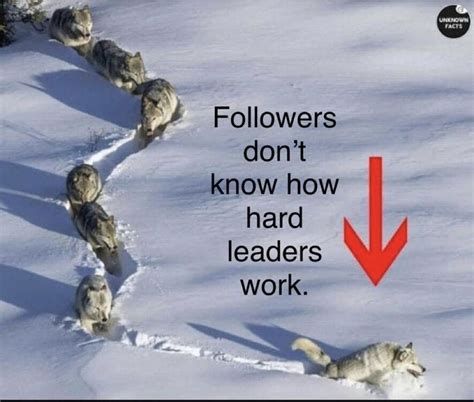 Brian Link Posted On Linkedin