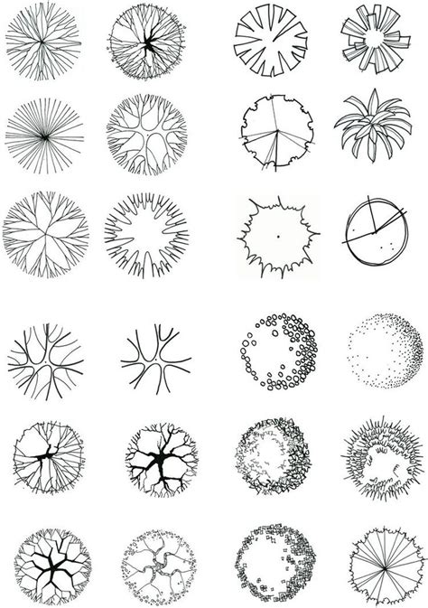 Landscape Design Drawings With Tree Plans