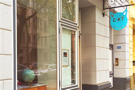 Cat Cologne Directory E Flux