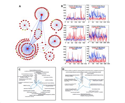 differential co expression network and function of enrichment of