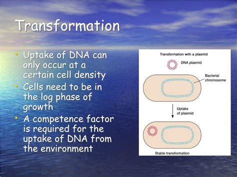 PPT Horizontal Gene Transfer And Genetic Engineering Conjugation