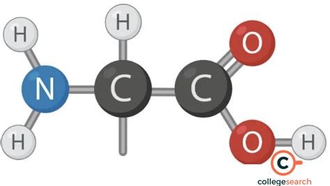 Sp3 Hybridization Definitions Examples Properties Electronic Configuration Sigma Bonds And