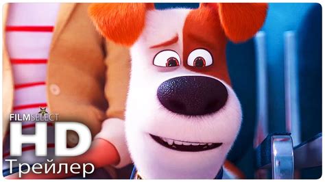 ТАЙНАЯ ЖИЗНЬ ДОМАШНИХ ЖИВОТНЫХ 2 Трейлер (Русский) 2019 - YouTube