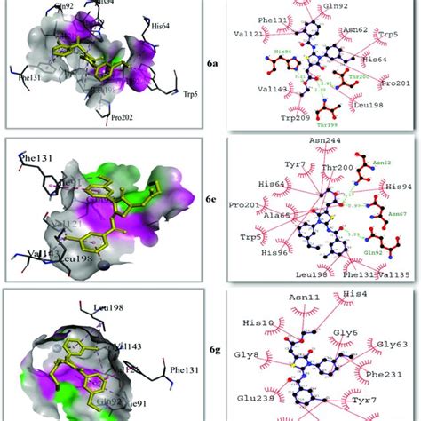 The Predicted 2d And 3d Interactions Of Compounds 6a 6e And 6g Within