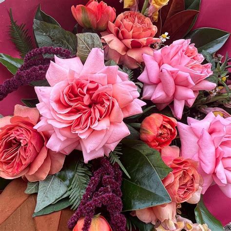 Scooterflowers Wagga Wagga Nsw