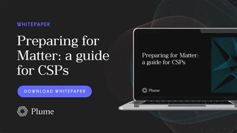 Gaby Treiband En Linkedin Preparing For Matter A Guide For Csps