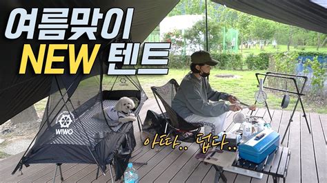 솔로캠핑 여름맞이 New 텐트 샀어요ㅣ산림욕장 바로 앞에서 강아지랑 캠핑하기 Youtube