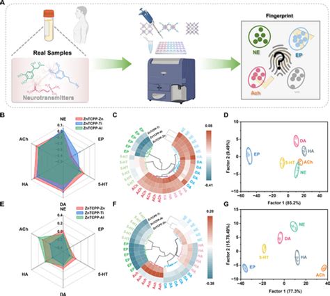 Biomimetic Analysis Of Neurotransmitters For Disease Diagnosis Through Light‐driven Nanozyme