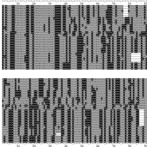 Alignment Of Complete Ppr From Genotype 3 And Rabbit Sequences Download Scientific Diagram