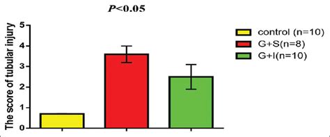 Renoprotective Effect Of Irbesartan In A Rat Model Of Gentamicin