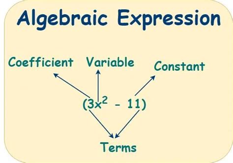 Identifying Terms In An Algebraic Expression Algebraic Expressions