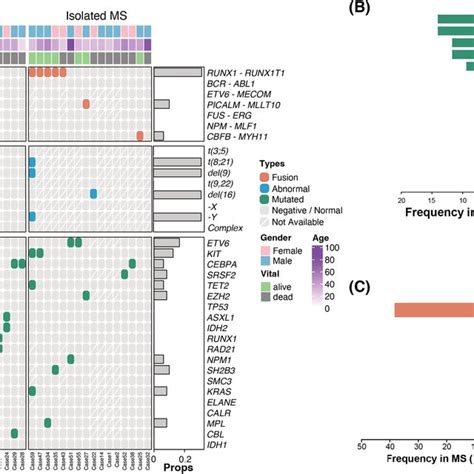 The Cytogenetic And Molecular Profile Of Myeloid Sarcoma Ms A An Download Scientific