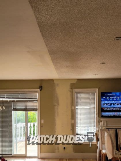 Ceiling And Drywall Repair And Patching Patch Dudes