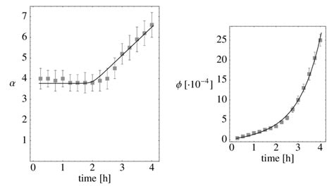 9 Model Results The Width α And Height φ Of The Modified Lorentzian