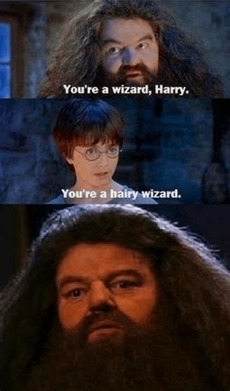Yer A Wizard Harry Youre A Hairy Wizard Burn Fandom