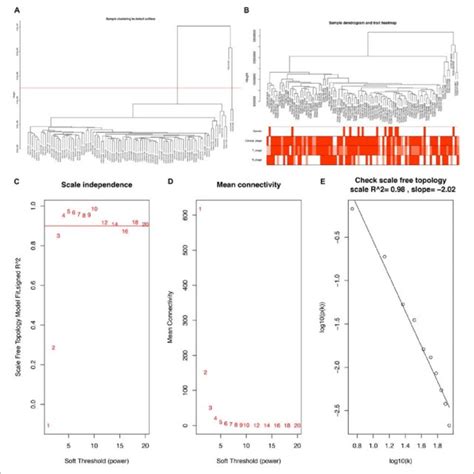 a clustering dendrogram of 96 samples and excluding three outlier