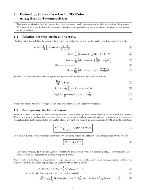 Report Project Strain Decomposition For Truncated Euler Pdf