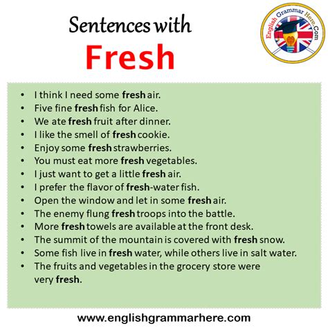 Sentences With Fresh Fresh In A Sentence In English Sentences For
