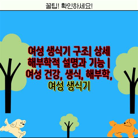 여성 생식기 구조 상세 해부학적 설명과 기능 여성 건강 생식 해부학 여성 생식기 네이버 블로그