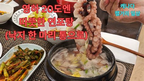 🇨🇦 Vlog집밥 일상 영하 20도 오전 11시부터 막내딸 생파 다녀오고 따뜻하게 연포탕 크리스마스 장식 캐나다
