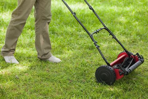 How To Change A Spark Plug On A Lawn Mower, step by step – Garden Tool Expert