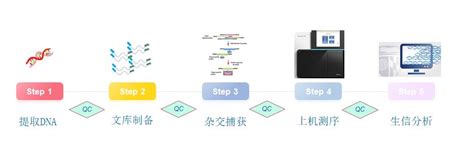 全外显子组基因检测试剂盒（可逆末端终止测序法） 武汉海希生物科技有限公司