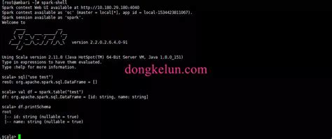 Spark通过修改dataframe的schema给表字段添加注释（转载）