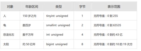 MySQL数据库从入门到精通第十篇MySQL表创建和管理指南 阿里云开发者社区