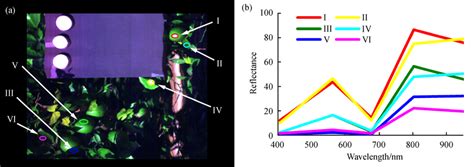 The Influence Of Varying Illumination Conditions On Reflectance A
