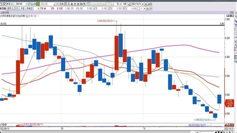 나노gh신소재화천기계나무기술아바코현대약품대동한국팩키지골든센츄리금양모아데이타시티랩스코리아에스이대동기어wi셀피글로벌한미글로벌우신미스터블루제주