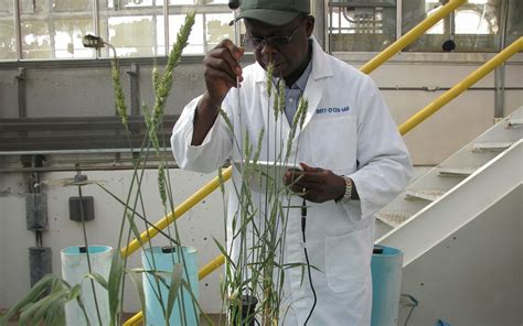 How To Measure Stress In Plants Using Leaf Spectroscopy