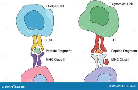 Recognition Complex Like A Puzzle Pictured As Word Recognition On A Puzzle Pieces To Show That