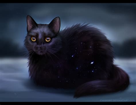 starcat on Tumblr