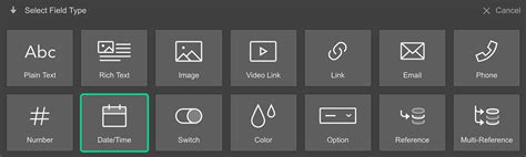 Date Time Field Webflow University