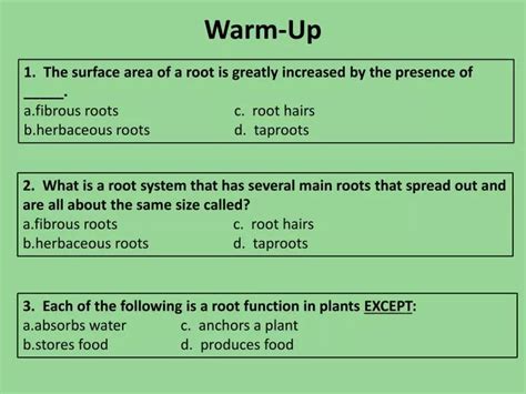 PPT Each Of The Following Is A Root Function In Plants EXCEPT PowerPoint Presentation
