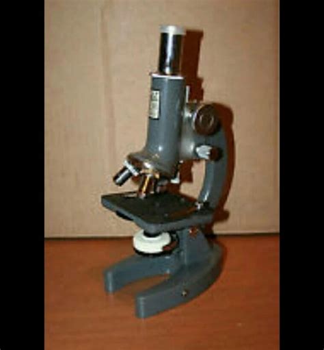 Labo Brand School Laboratory Microscope Magnification 400x At ₹ 40000 Piece In Ambala