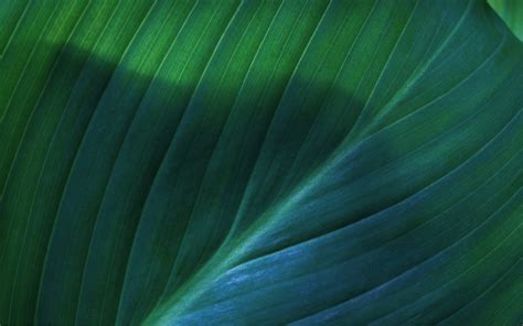 It Consultant Transformations And Digital Delivery Db Results