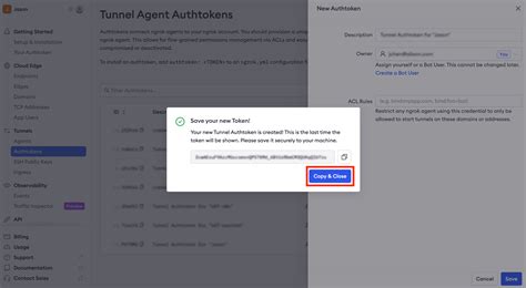 How To Use Ngrok Plugin