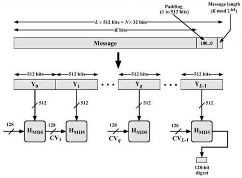 MD5 Algorithm Process Download Scientific Diagram