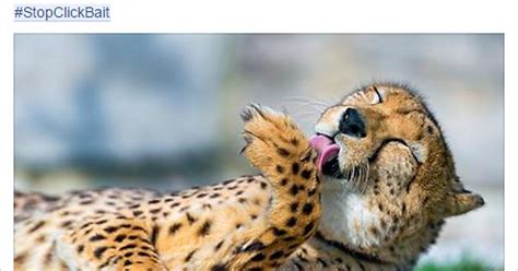 Youll Never Guess Which Facebook Page Is Fast Becoming My Favourite